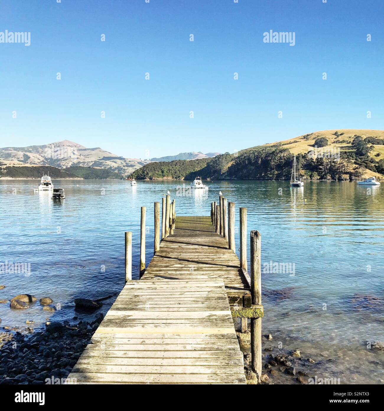 Akaroa wharf hi-res stock photography and images - Alamy