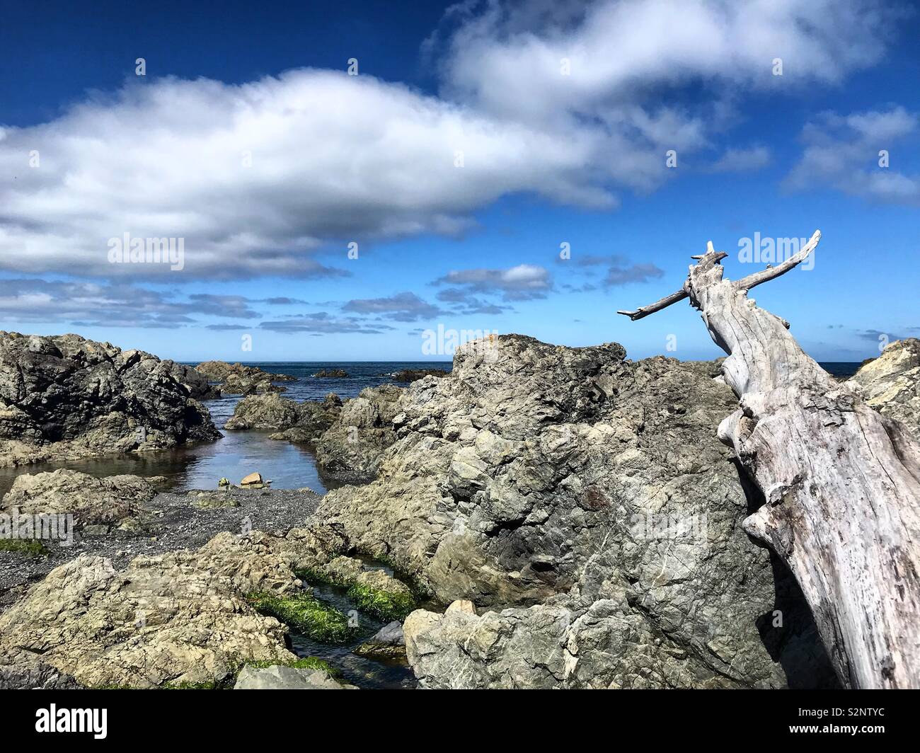 New zealand wellington red rocks hi-res stock photography and images ...