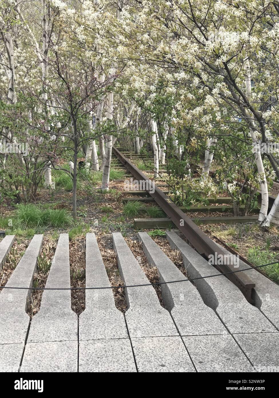 High Line, NY in Spring Stock Photo - Alamy