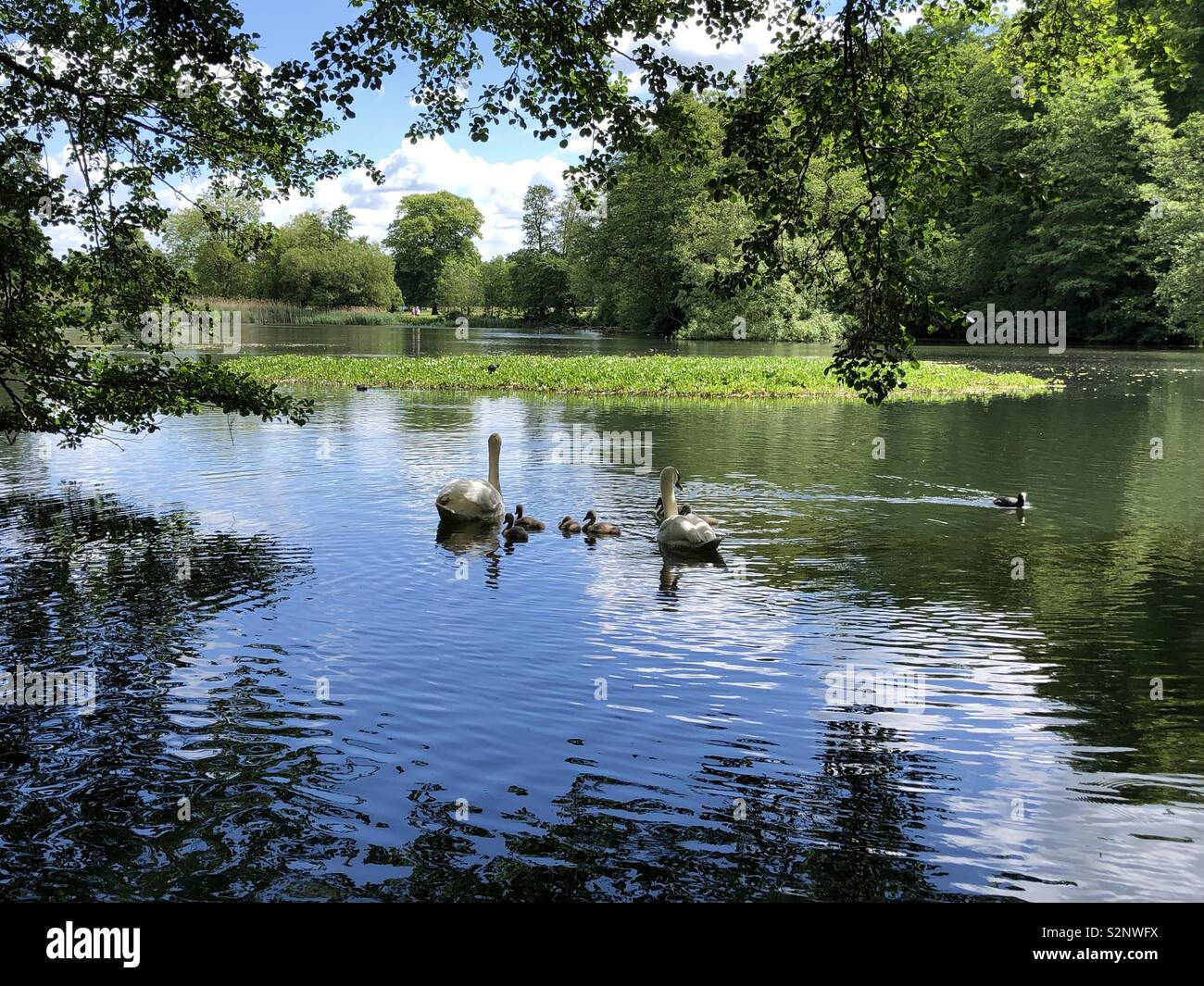 Priory park reigate surrey england hi-res stock photography and images ...