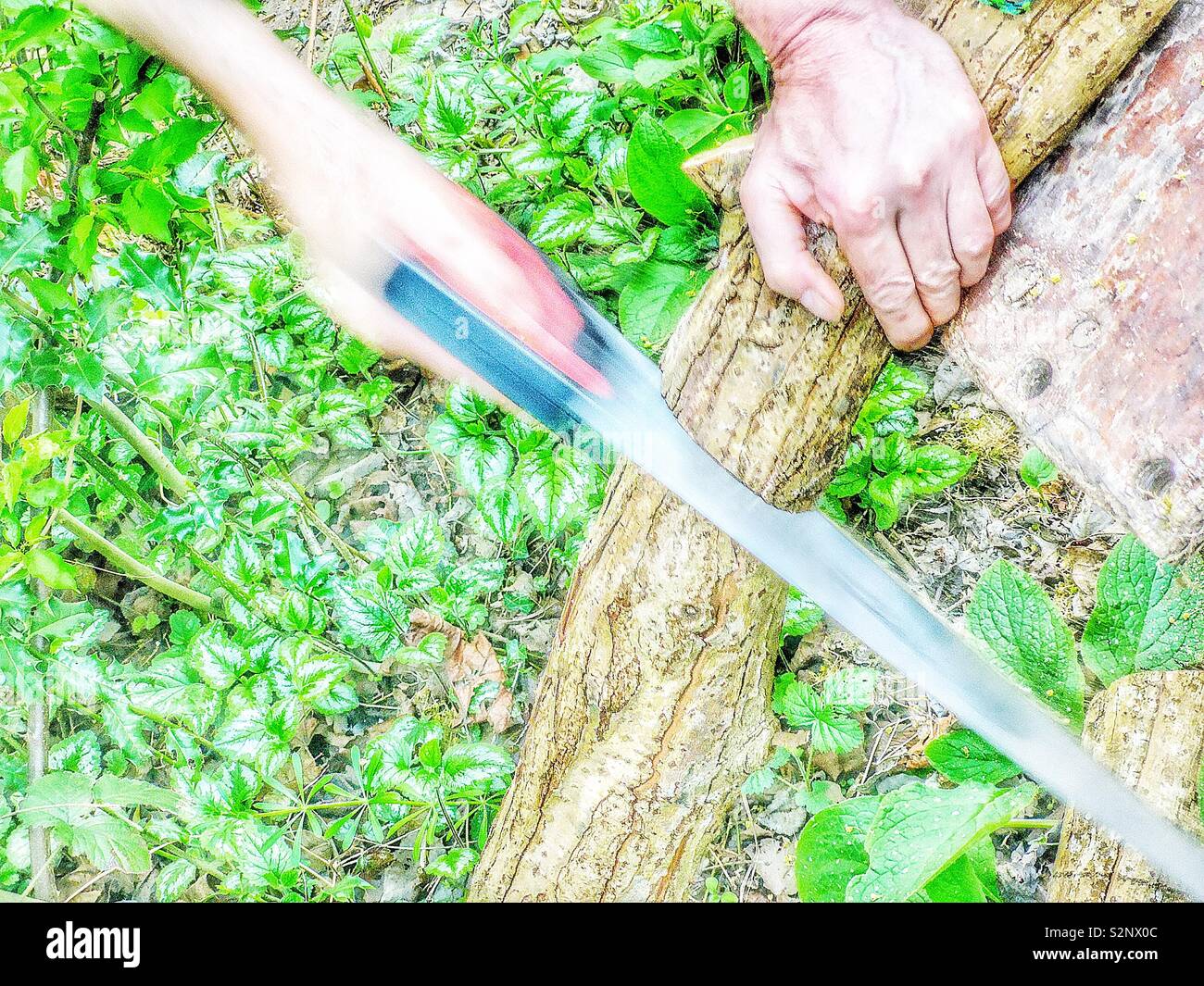 Sawing timber garden hi-res stock photography and images - Alamy