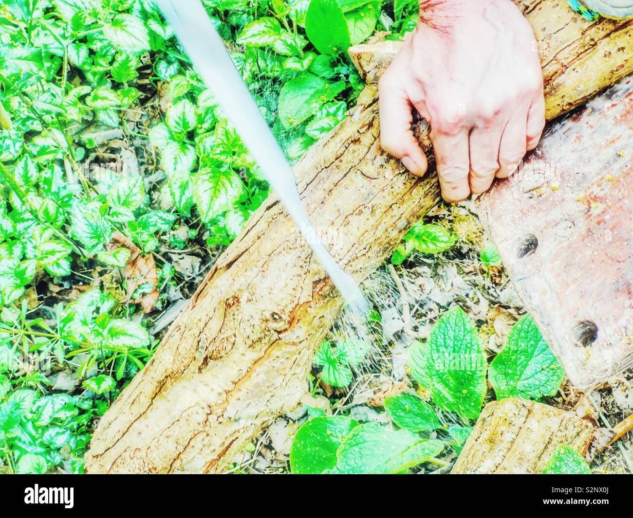 Log sawing hi-res stock photography and images - Alamy