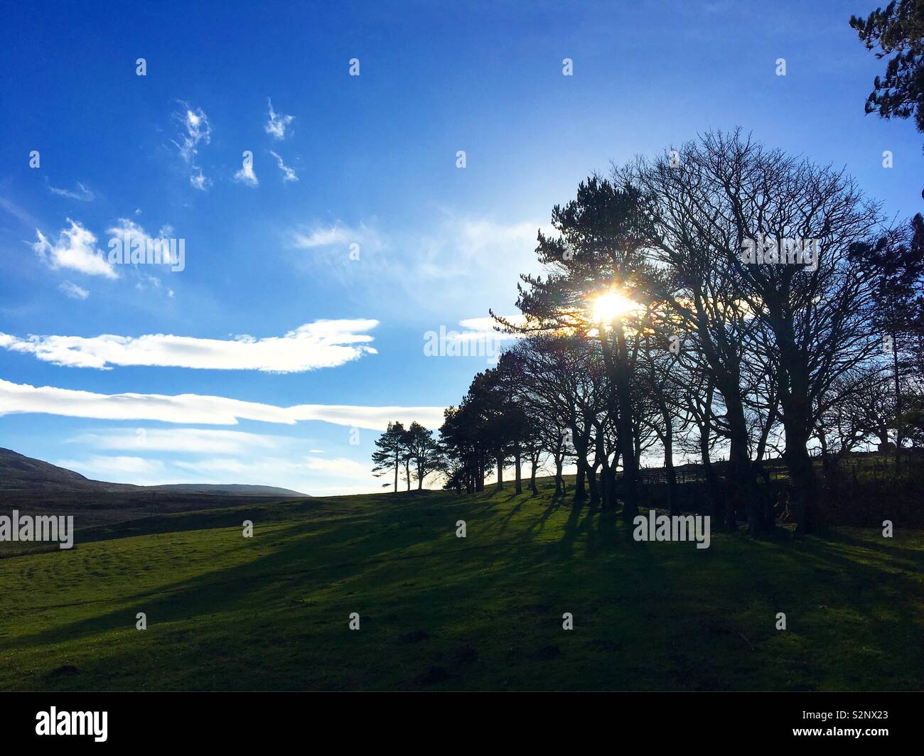 Sun behind the tree hi-res stock photography and images - Alamy