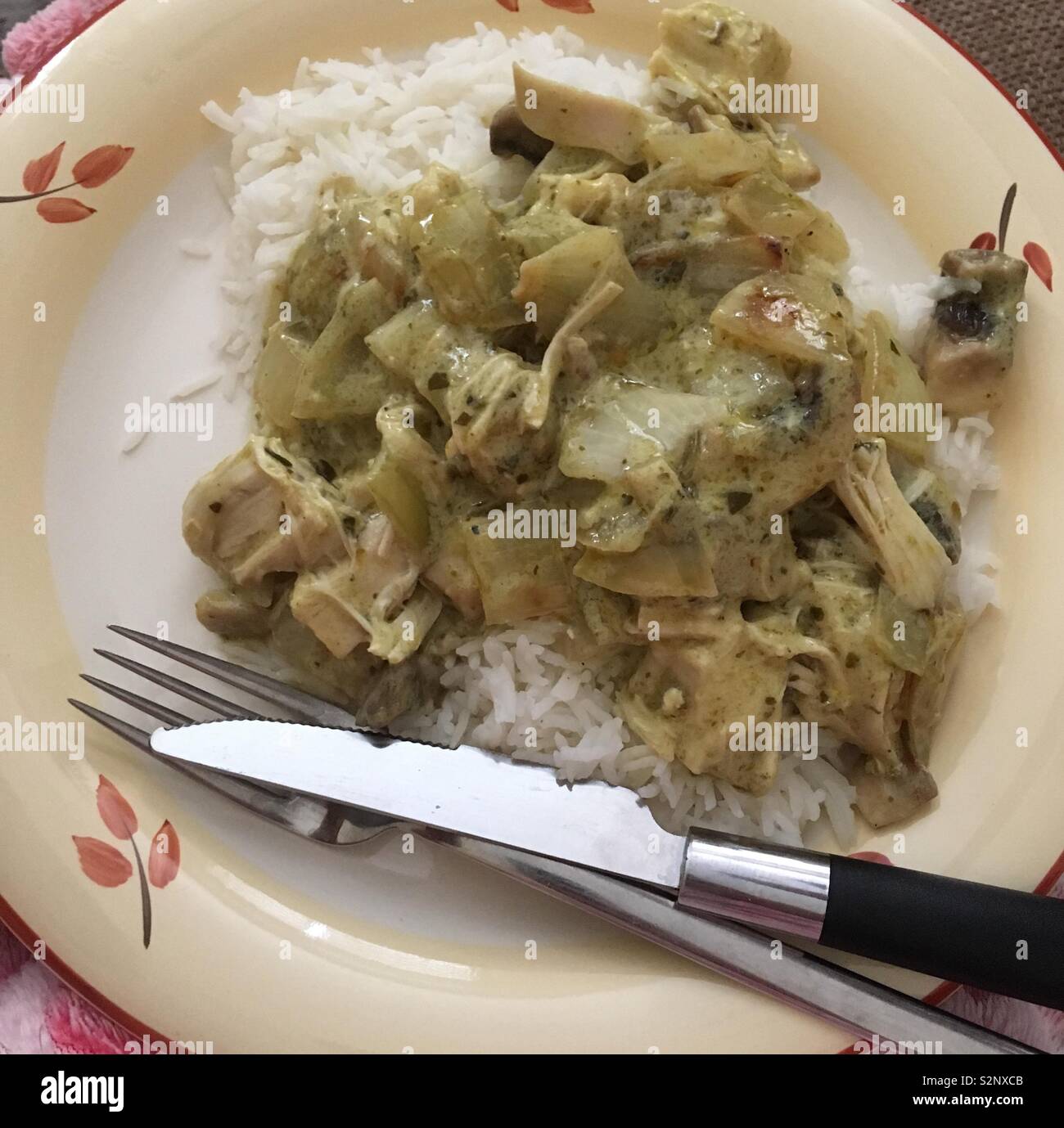 Homemade Thai green curry with rice Stock Photo - Alamy