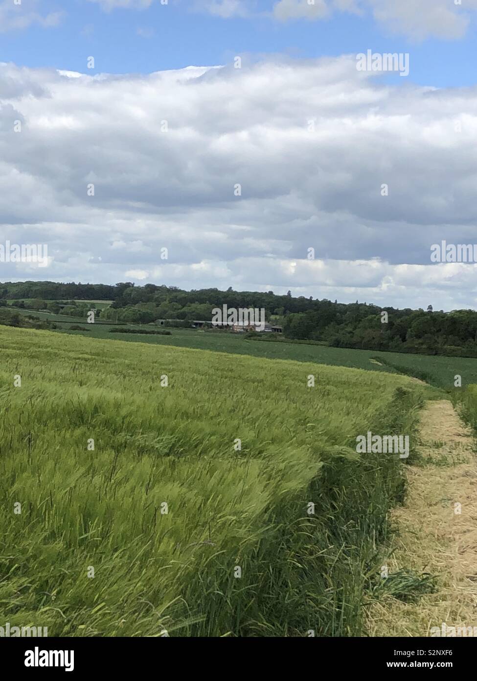 Great coxwell hi-res stock photography and images - Alamy