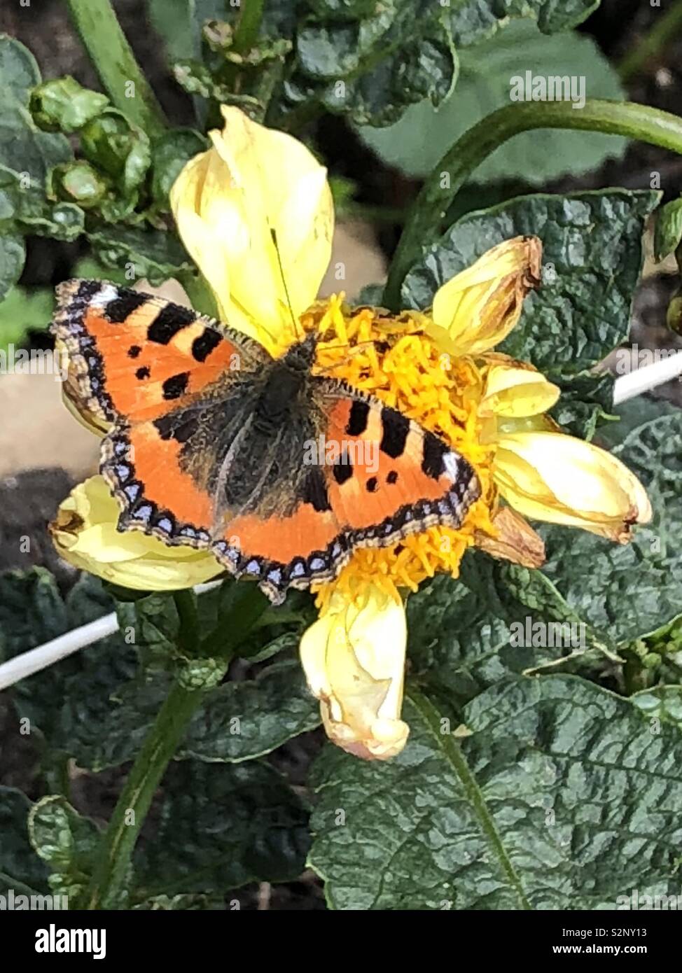 Time to rest Stock Photo - Alamy