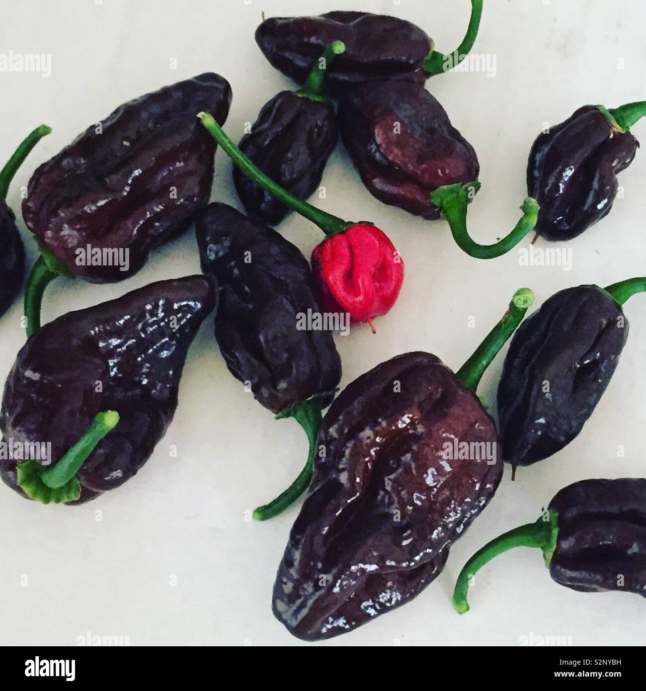 Peperoncini peperoncini hi-res stock photography and images - Alamy