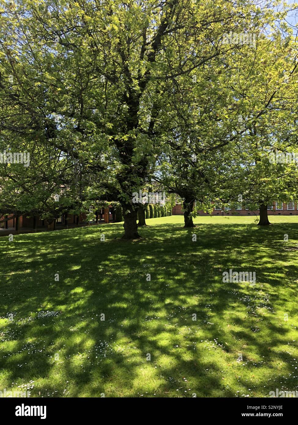 University of reading campus hi-res stock photography and images - Alamy