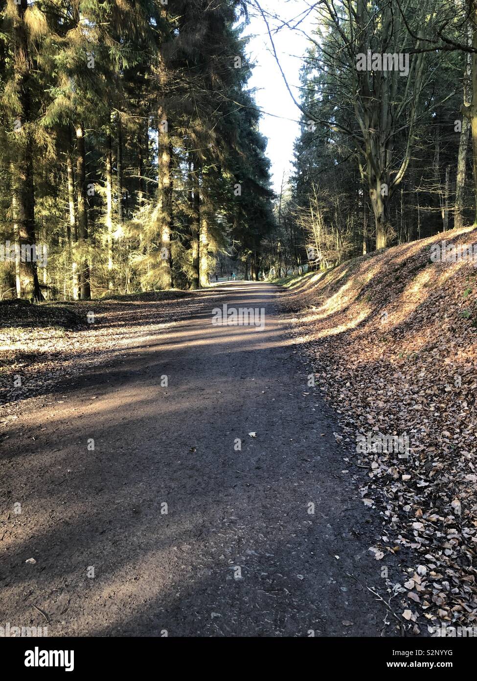 Dalby forest hi-res stock photography and images - Alamy