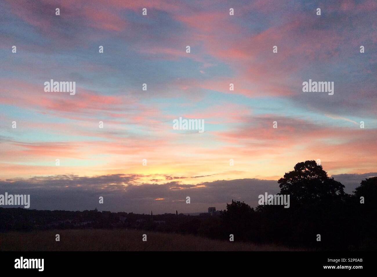 Sunset on a summer night, Hampstead Heath, London, UK Stock Photo - Alamy
