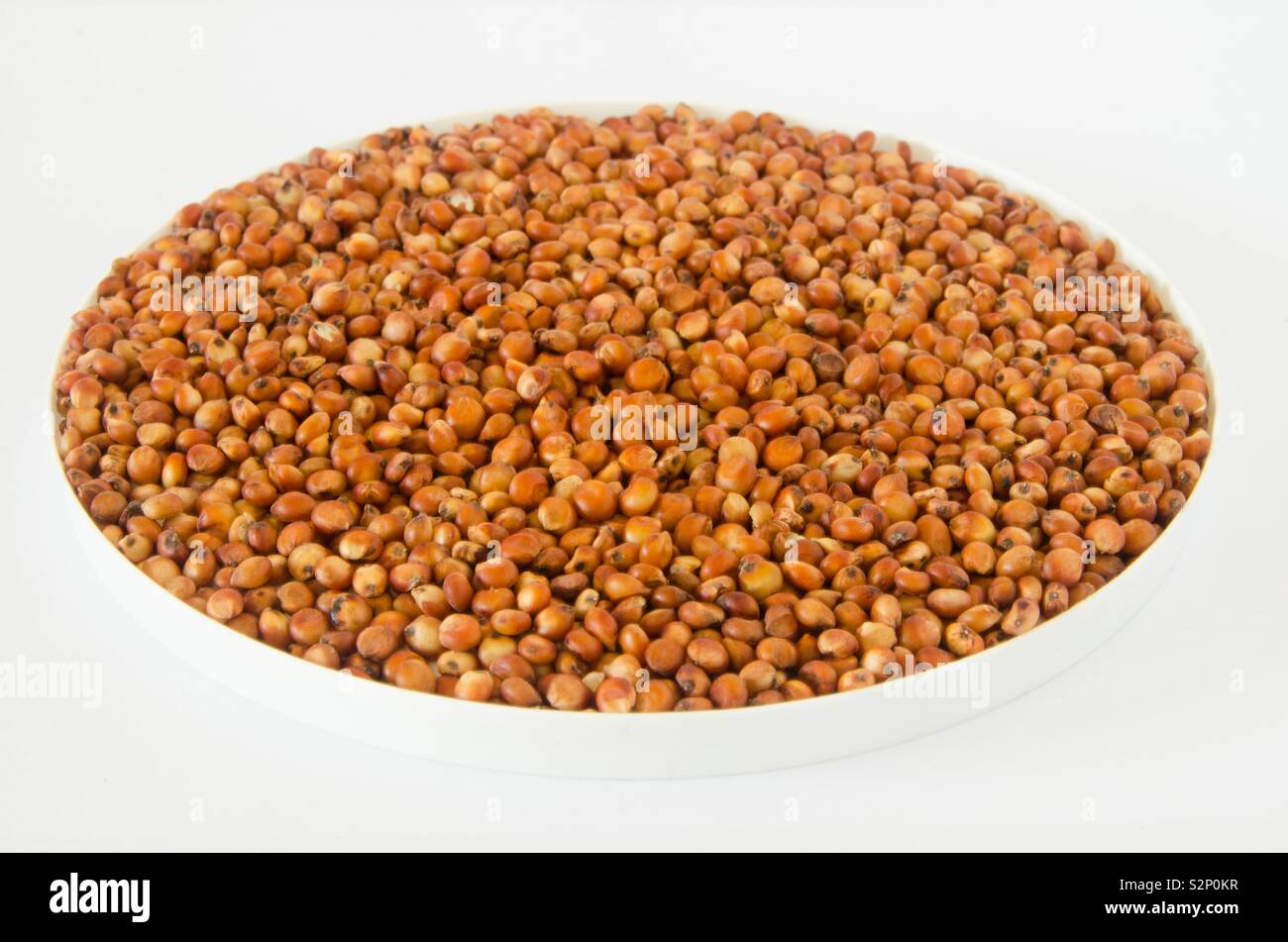 Sorghum seeds hi-res stock photography and images - Alamy