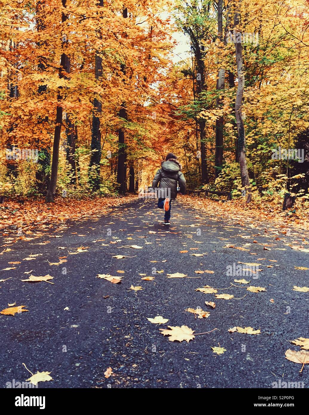 The autumn run Stock Photo - Alamy