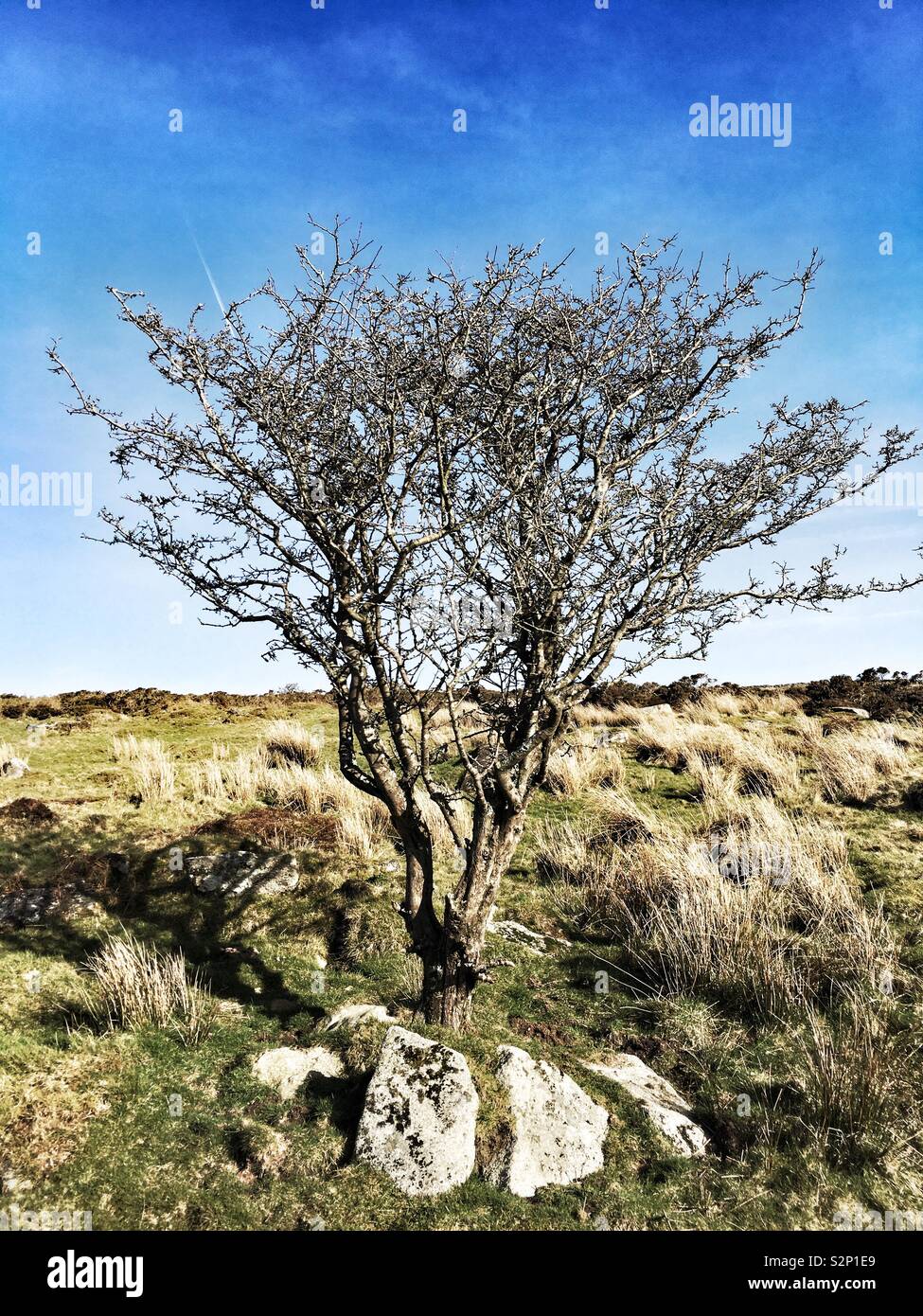 Cornwall moors hi-res stock photography and images - Alamy