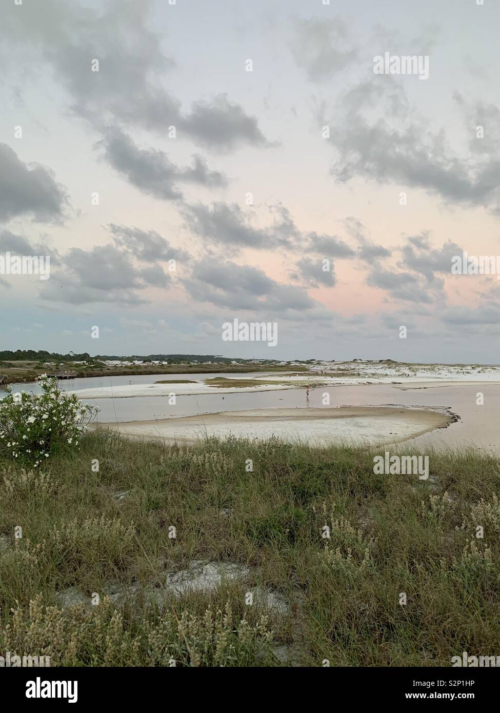 Coastal dune lake with landscape, water, sand, plants, scenic view ...