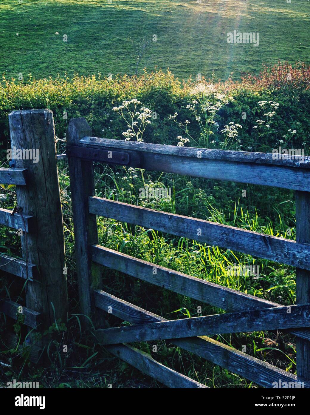 Countryside gates hi-res stock photography and images - Alamy