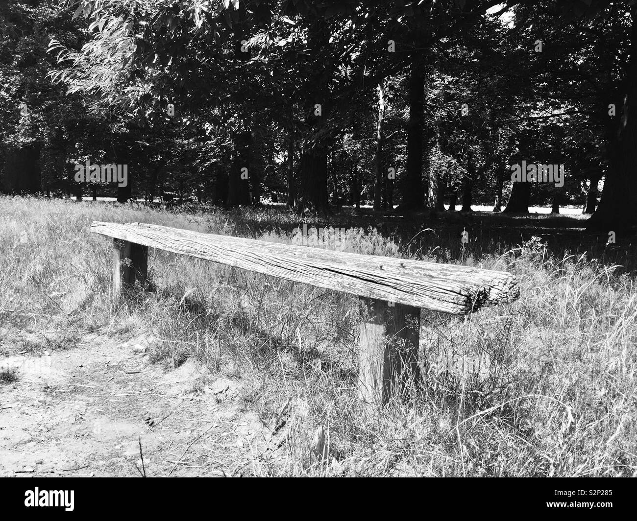 Bench in nature hi-res stock photography and images - Alamy