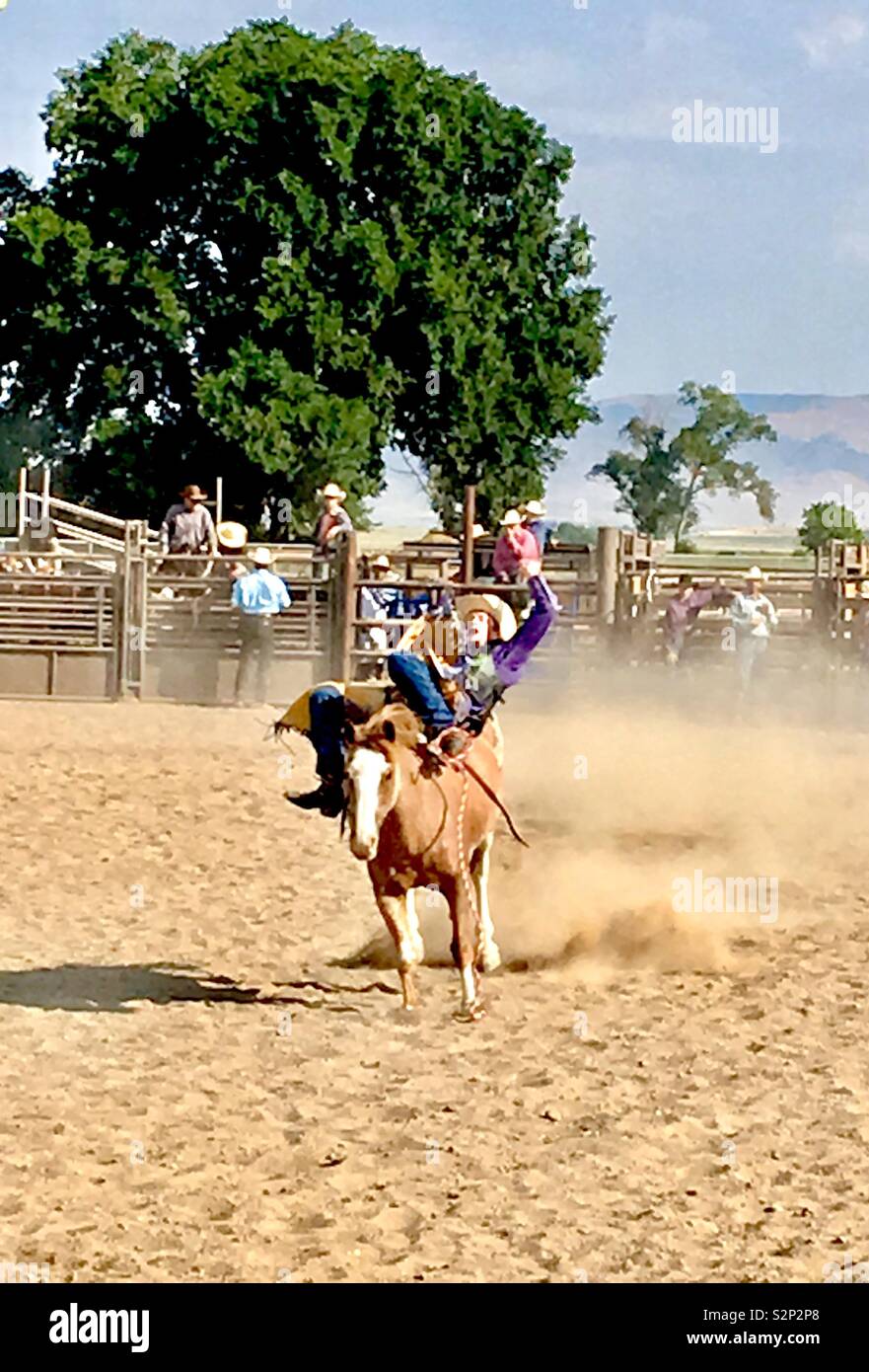 Bronco rodeo hi-res stock photography and images - Alamy