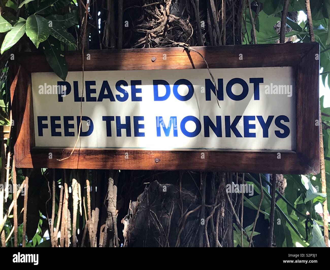 Do Not Feed the Monkeys sign in Zambia Stock Photo - Alamy