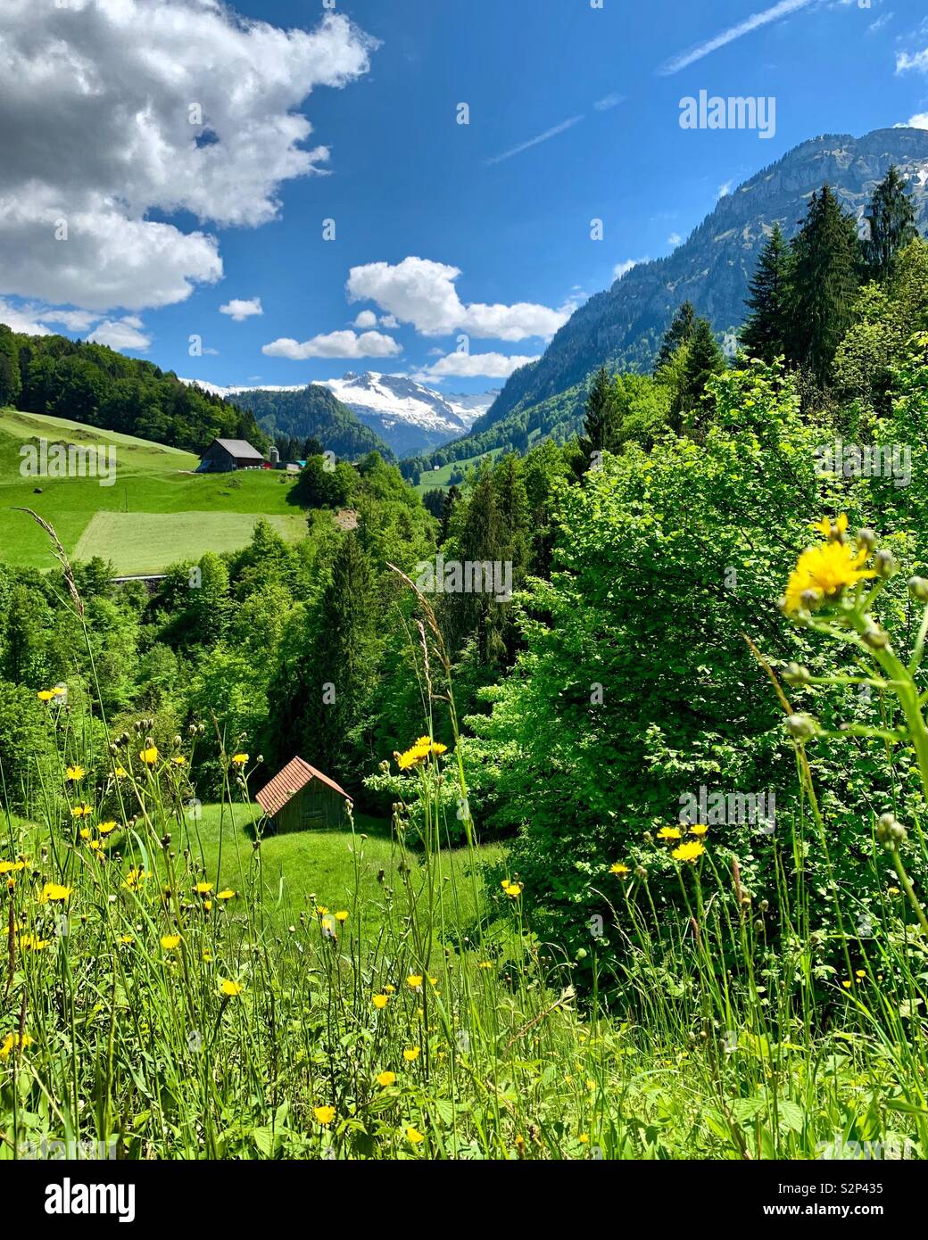 Swiss valley hi-res stock photography and images - Alamy