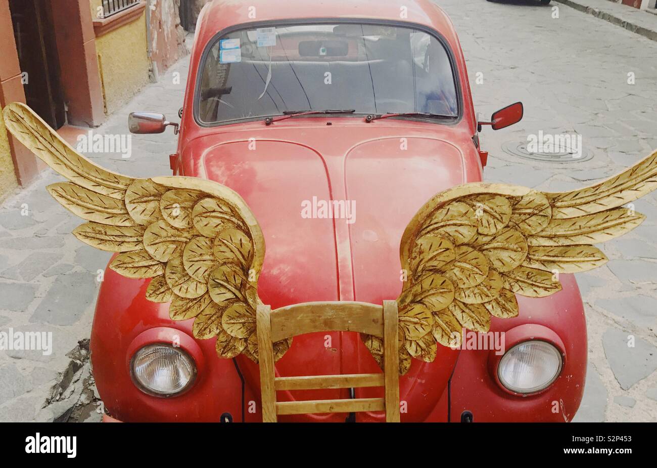 Beetle wings hi-res stock photography and images - Alamy