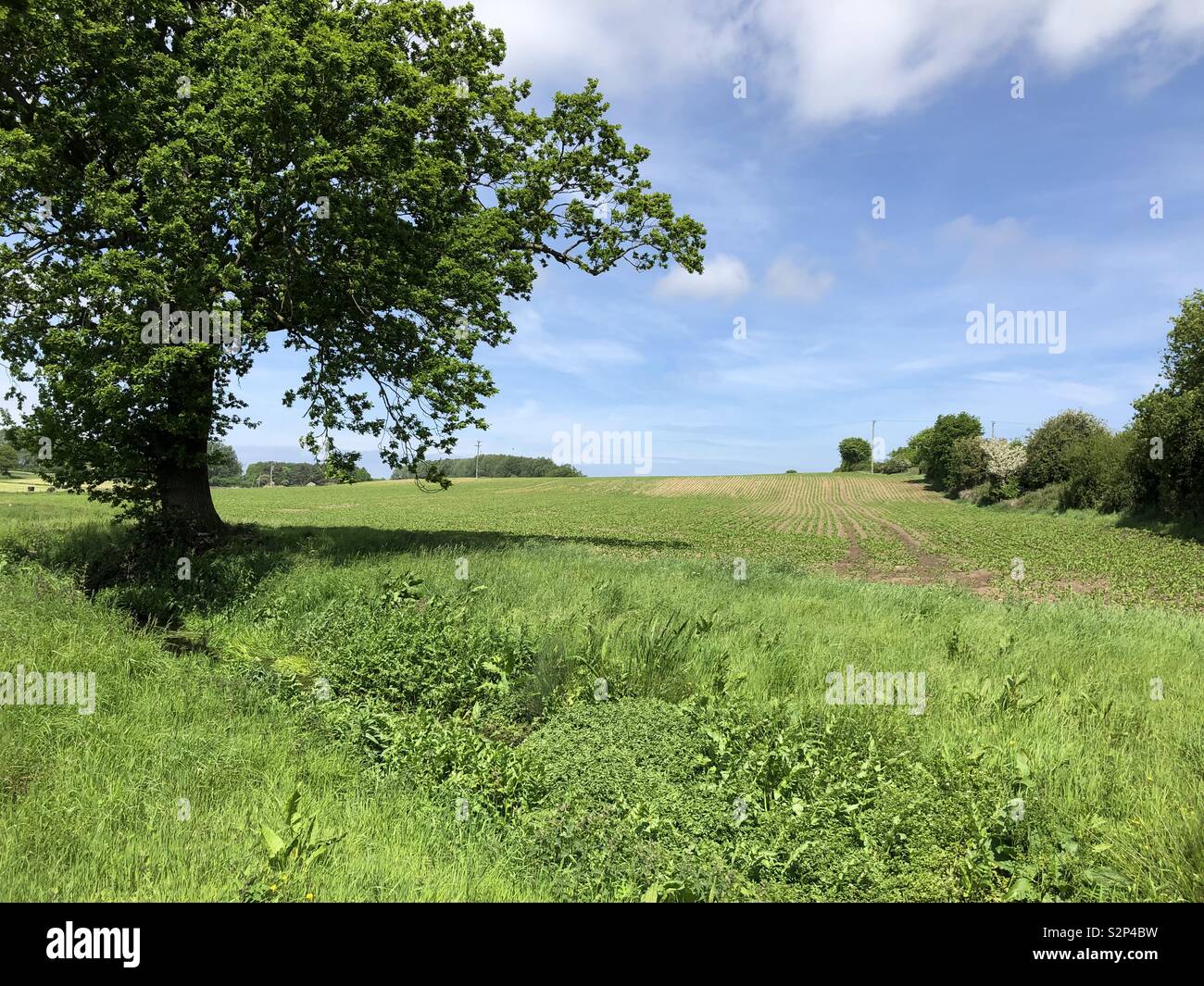 Farm scenery hi-res stock photography and images - Alamy