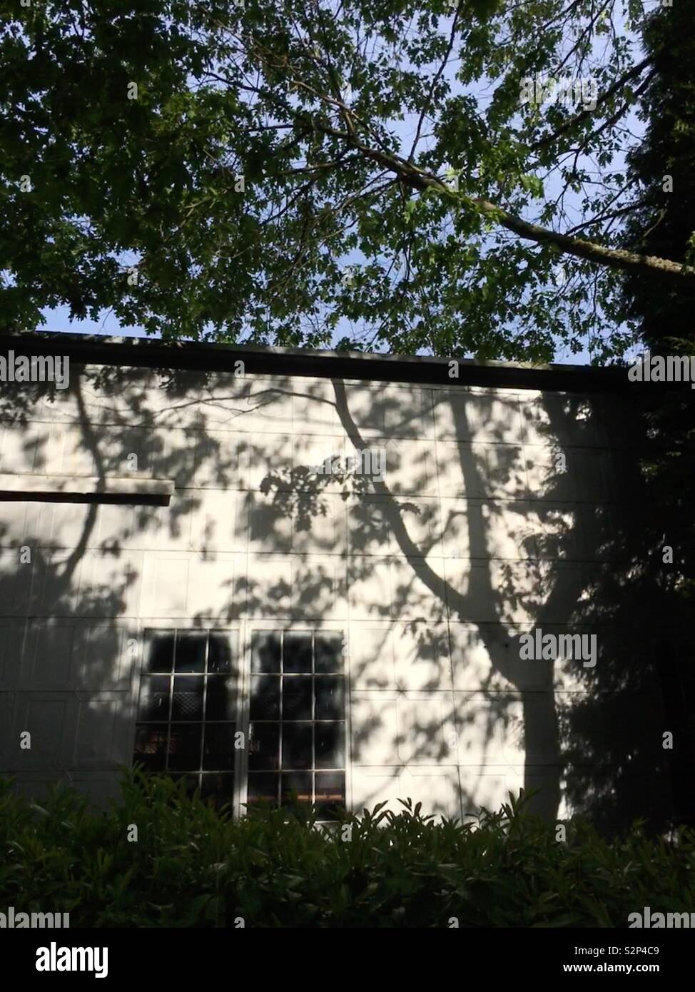 Shadows of the trees on the building nearly connect the branches to the ...