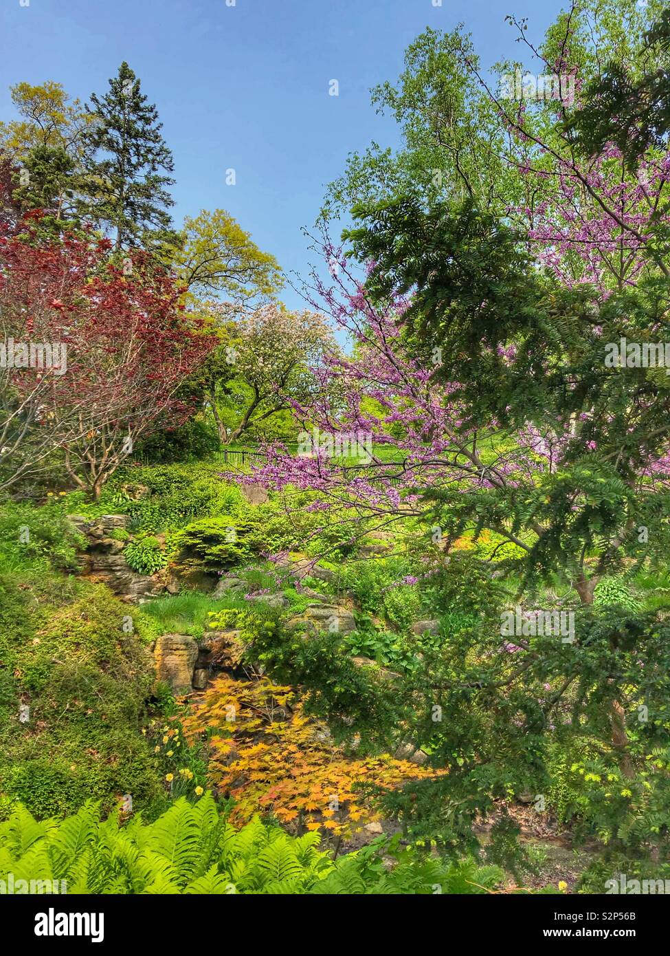 The colours of nature Stock Photo - Alamy