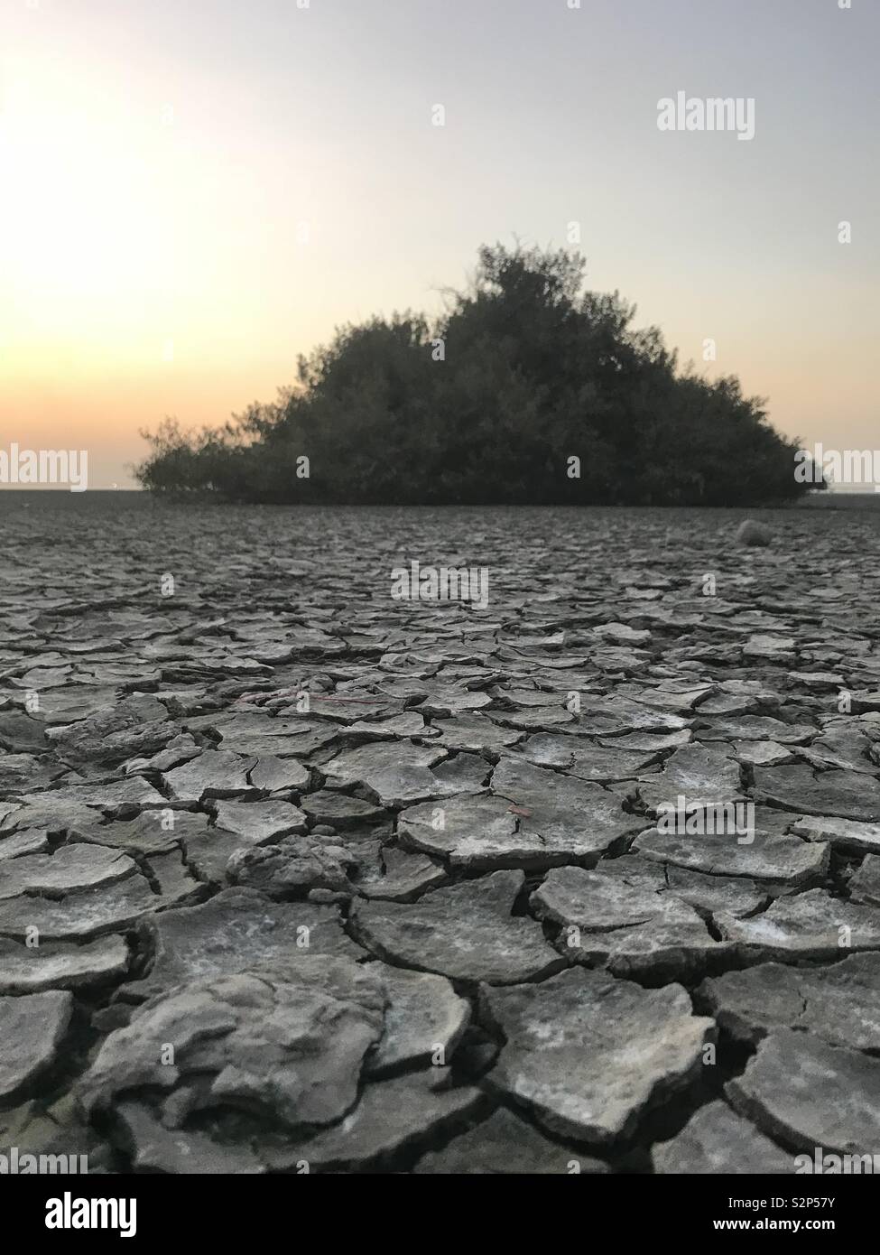 Dry beach Stock Photo - Alamy