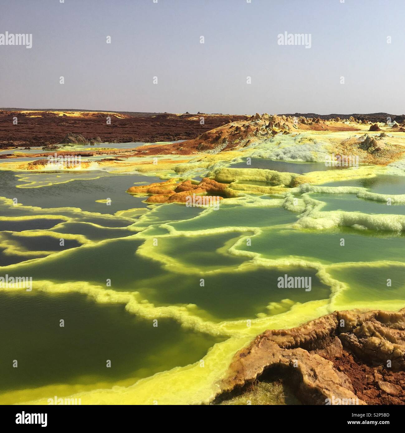 Bright yellow and green sulphuric water pools, Danikil Depression Stock ...