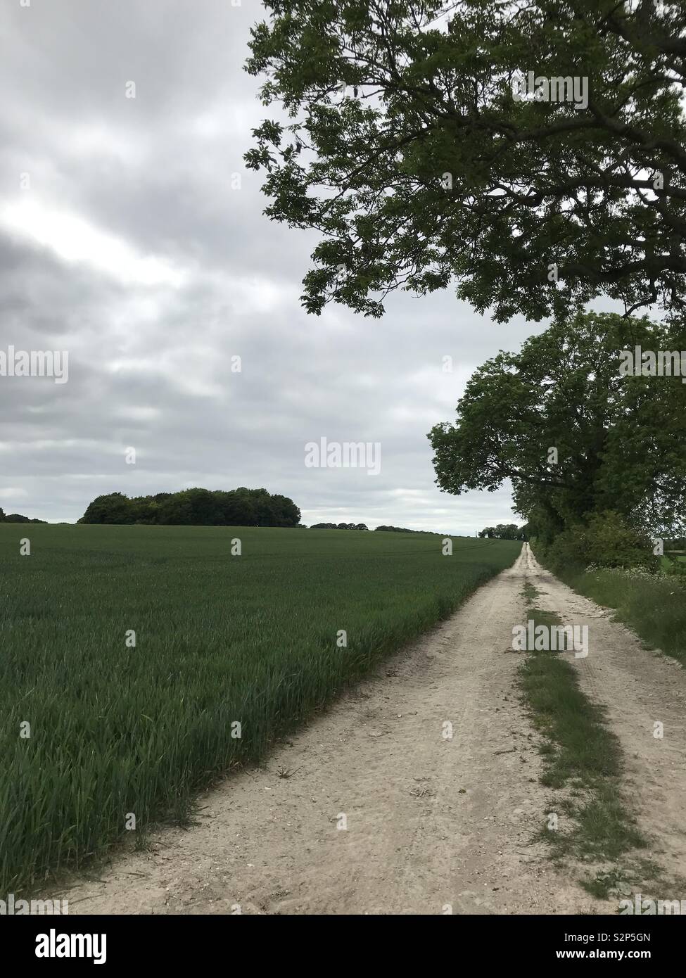 Chalk path field hi-res stock photography and images - Alamy