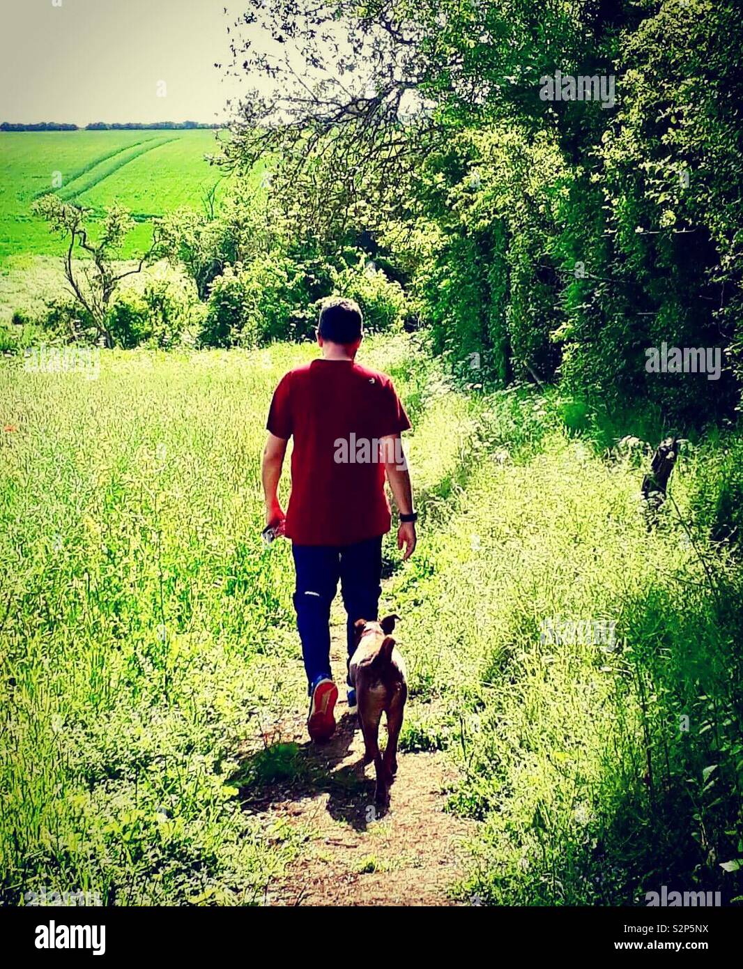 One man and his dog! Stock Photo - Alamy