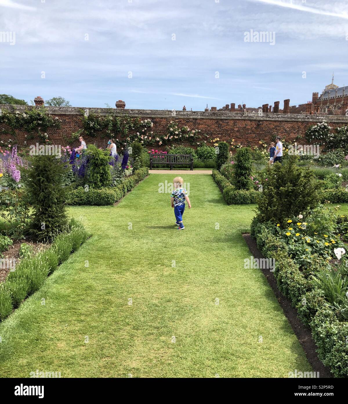 Walk in a garden of roses Stock Photo - Alamy