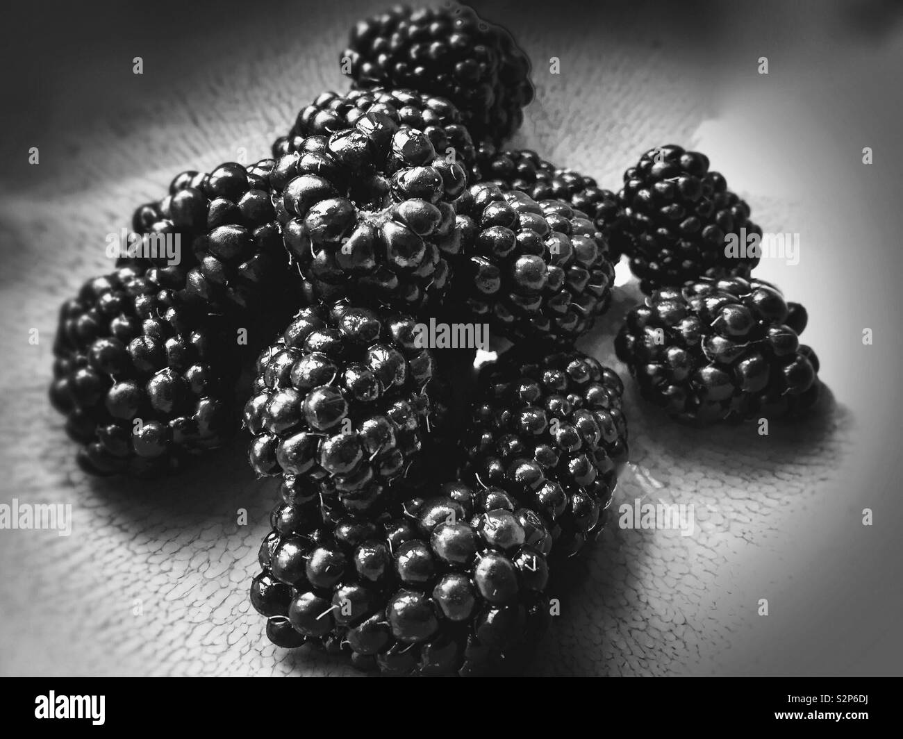 Fresh picked blackberries Stock Photo - Alamy