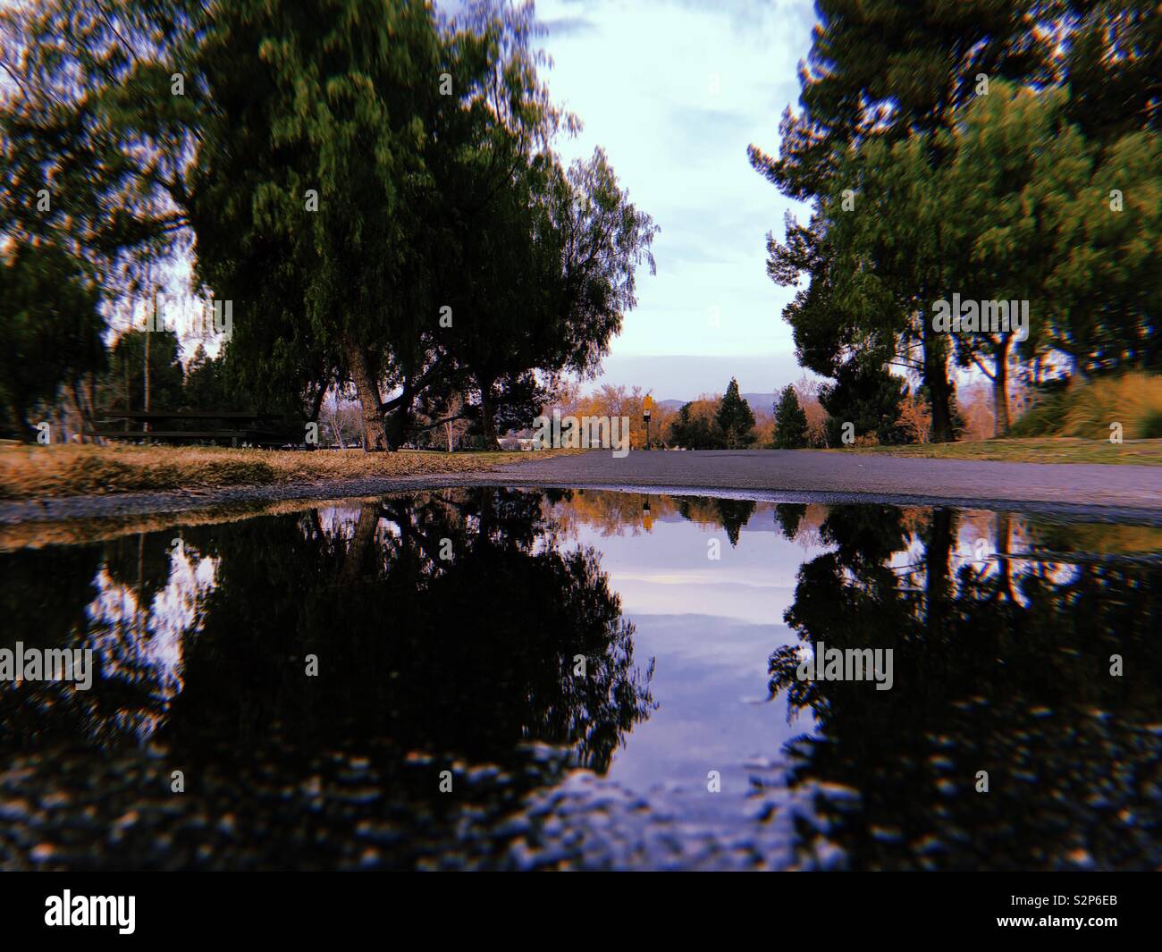 Water reflection at road hi-res stock photography and images - Alamy
