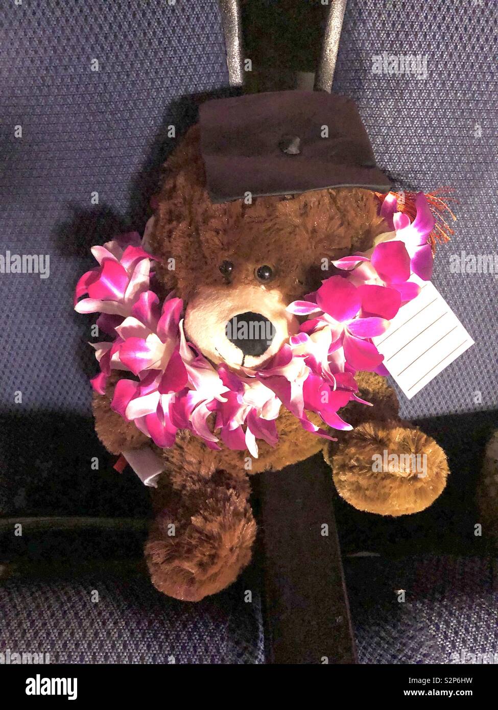 Lei of flowers hi-res stock photography and images - Alamy