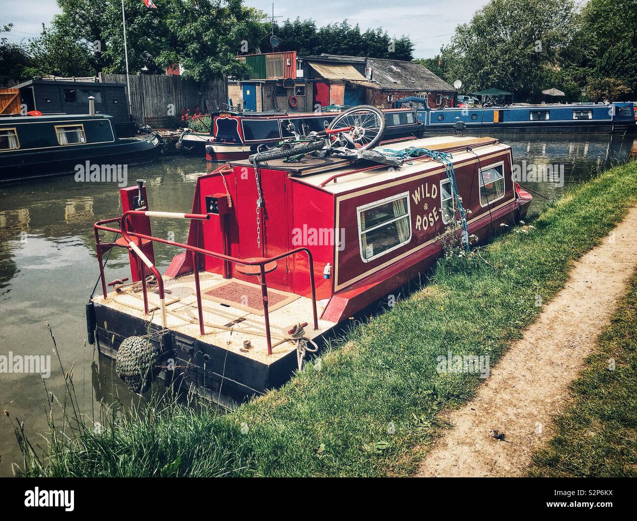 Narrowboat Wild Rose moored on the Grand Union canal at Blisworth UK ...