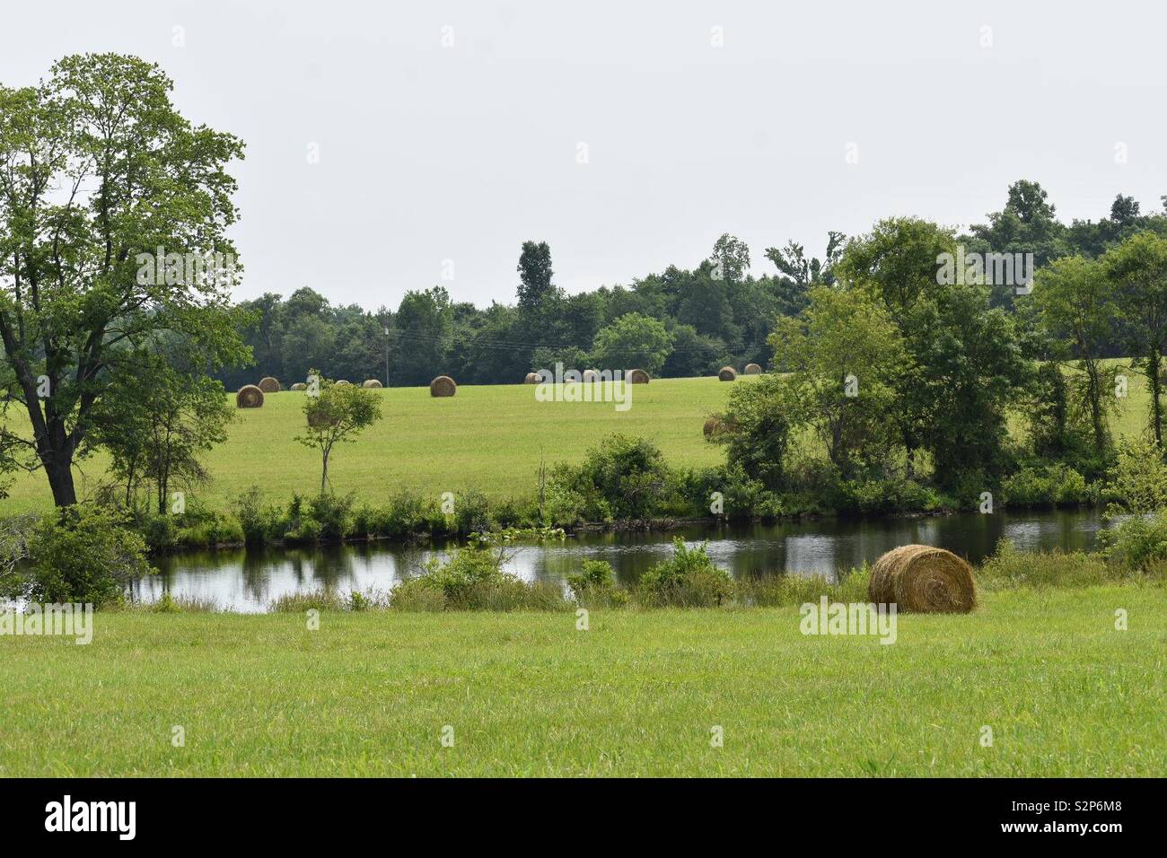 Spring In Virginia Stock Photo - Alamy