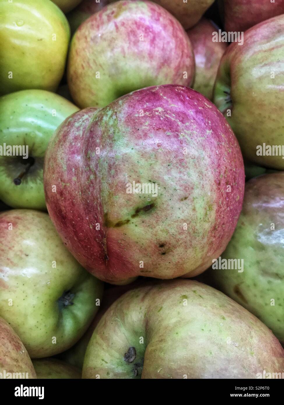 Fresh ripe raw fuji apples Stock Photo - Alamy
