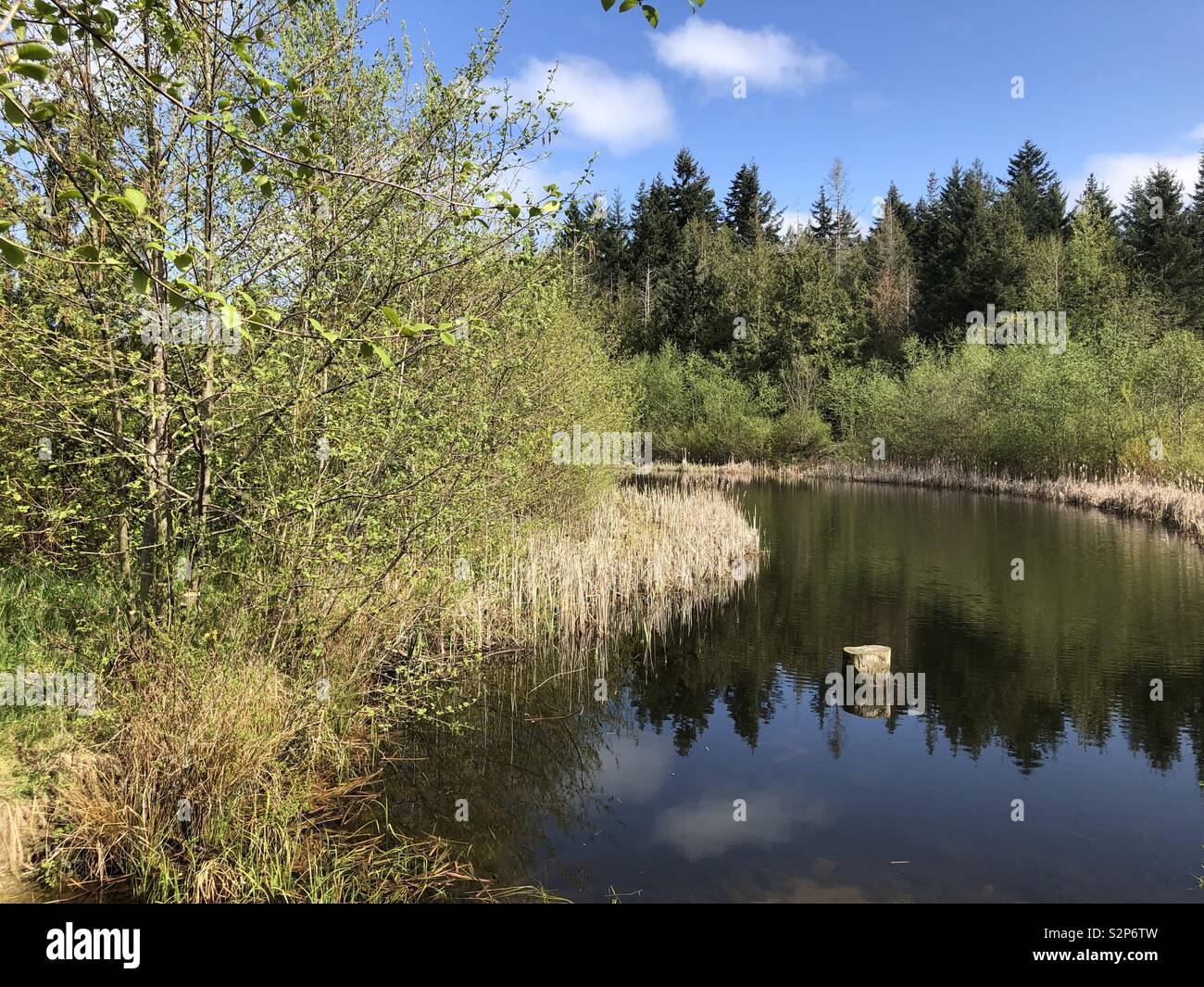 Lake slough hi-res stock photography and images - Alamy
