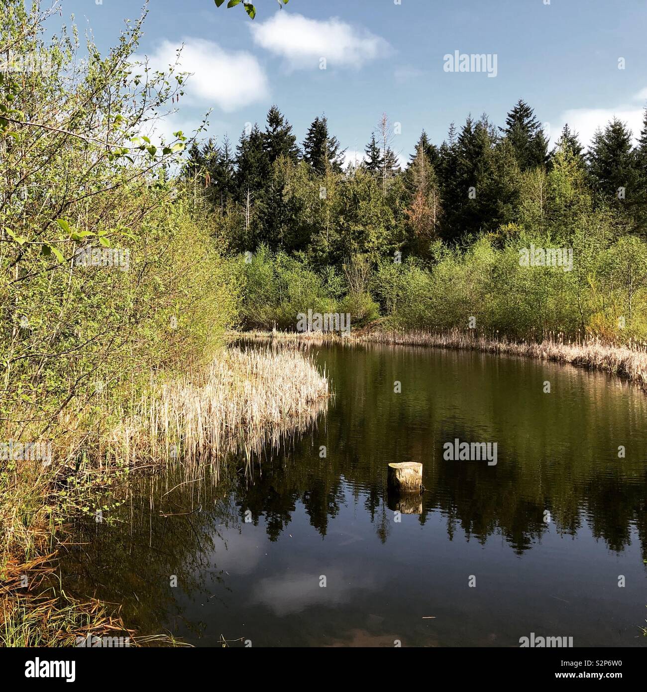 Lake slough hi-res stock photography and images - Alamy