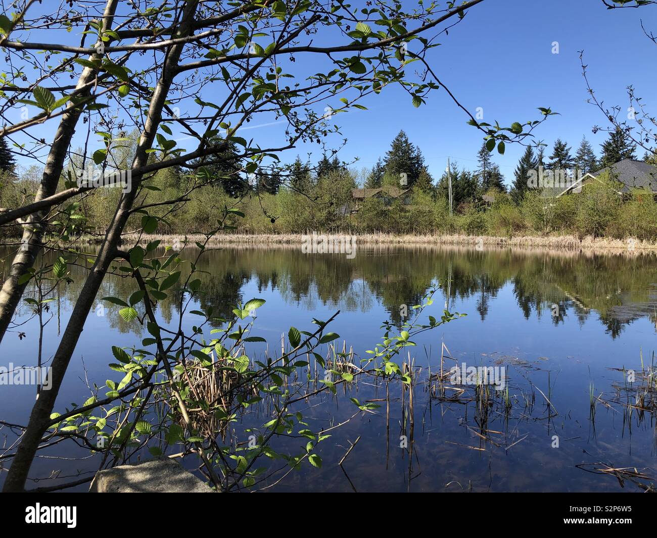 Lake slough hi-res stock photography and images - Alamy