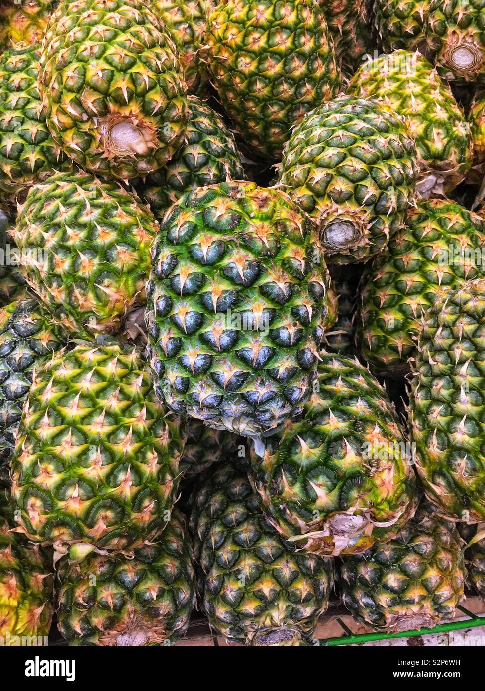 Full frame of many fresh perfect ripe raw golden pineapples Stock Photo ...