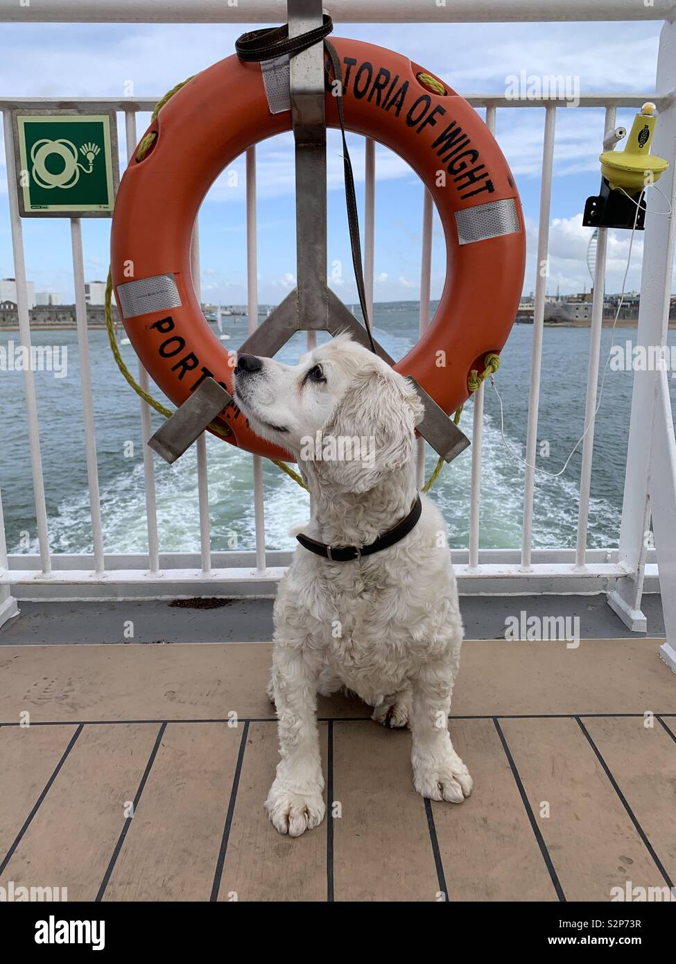 Dog friendly ferry hi-res stock photography and images - Alamy