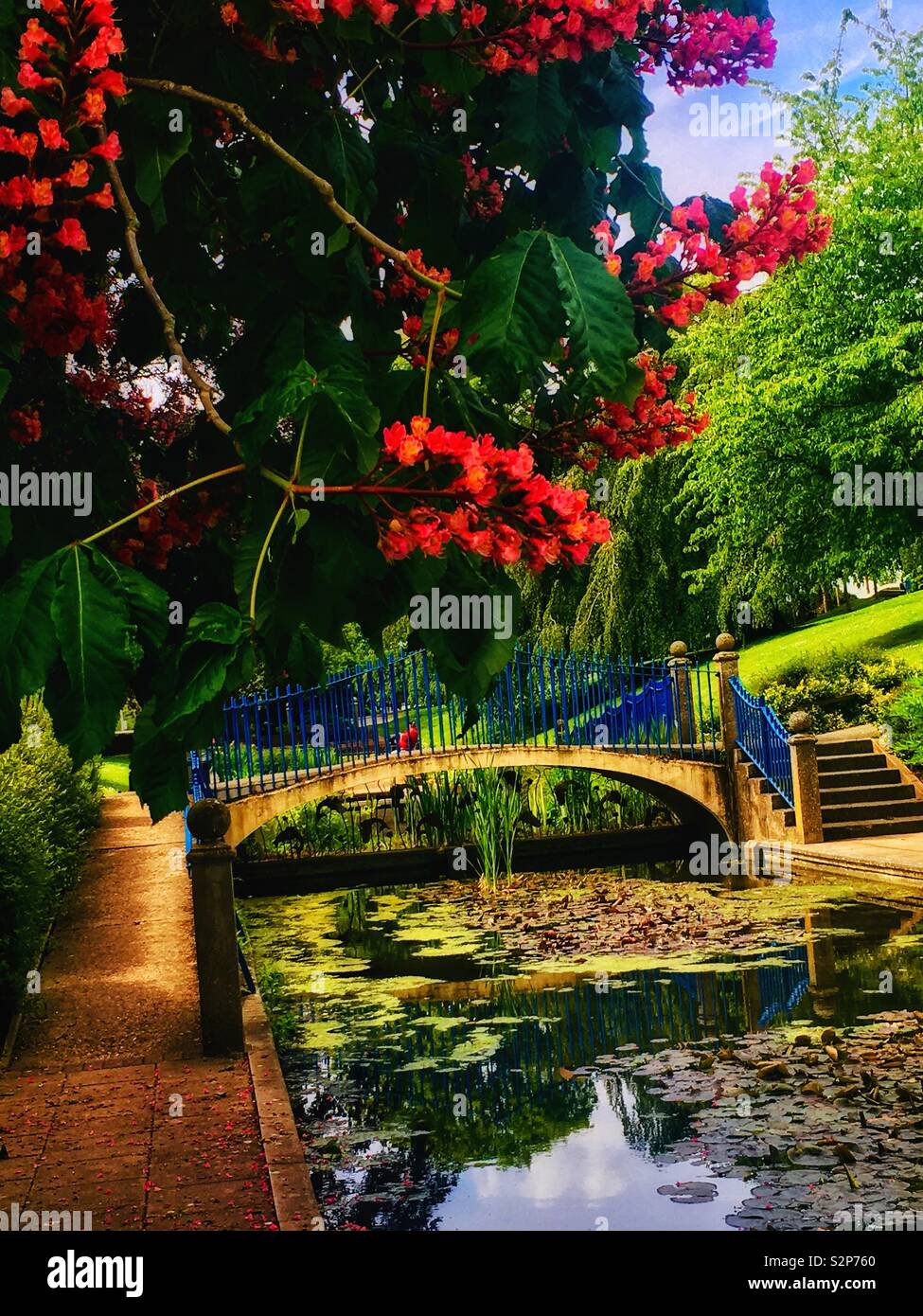 Evesham Bridge High Resolution Stock Photography and Images - Alamy