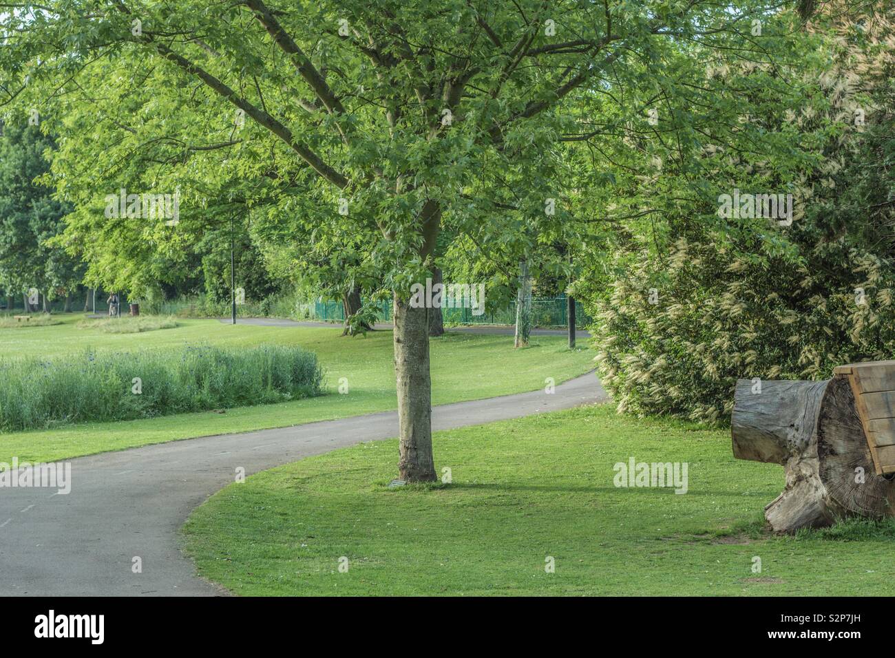 Green spaces hi-res stock photography and images - Alamy