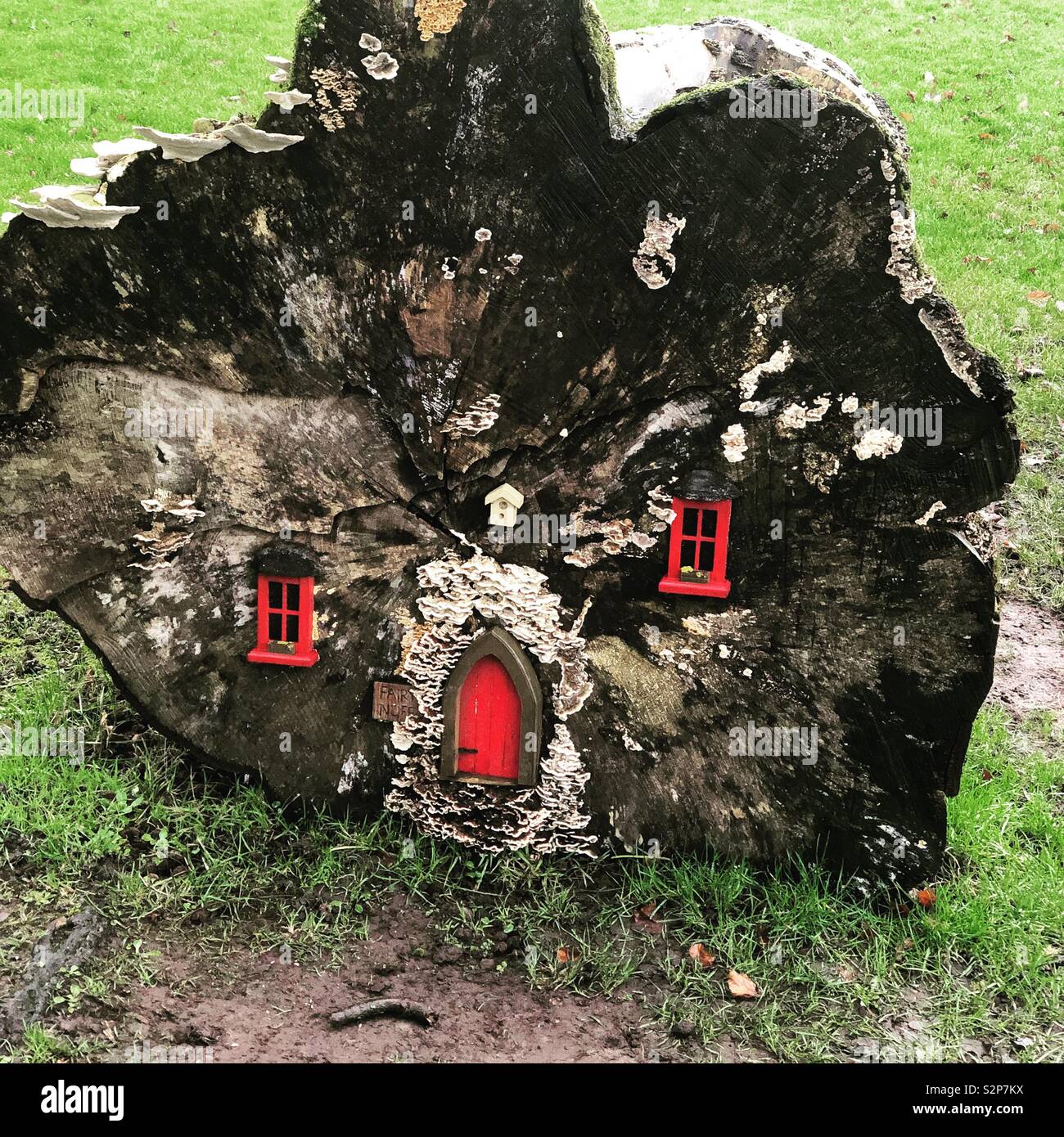 Fairy tree house hi-res stock photography and images - Alamy