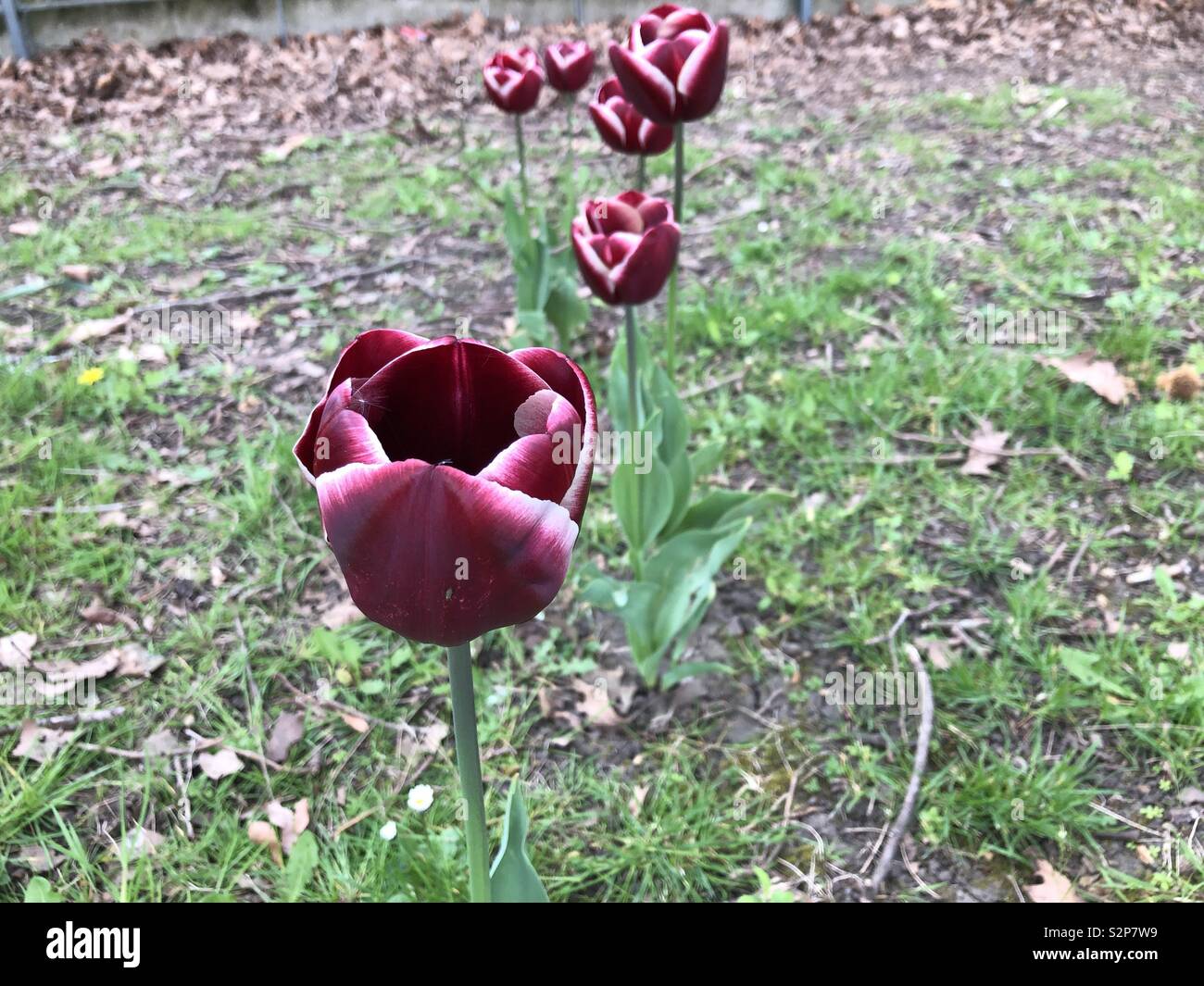 Cator park beckenham hi-res stock photography and images - Alamy