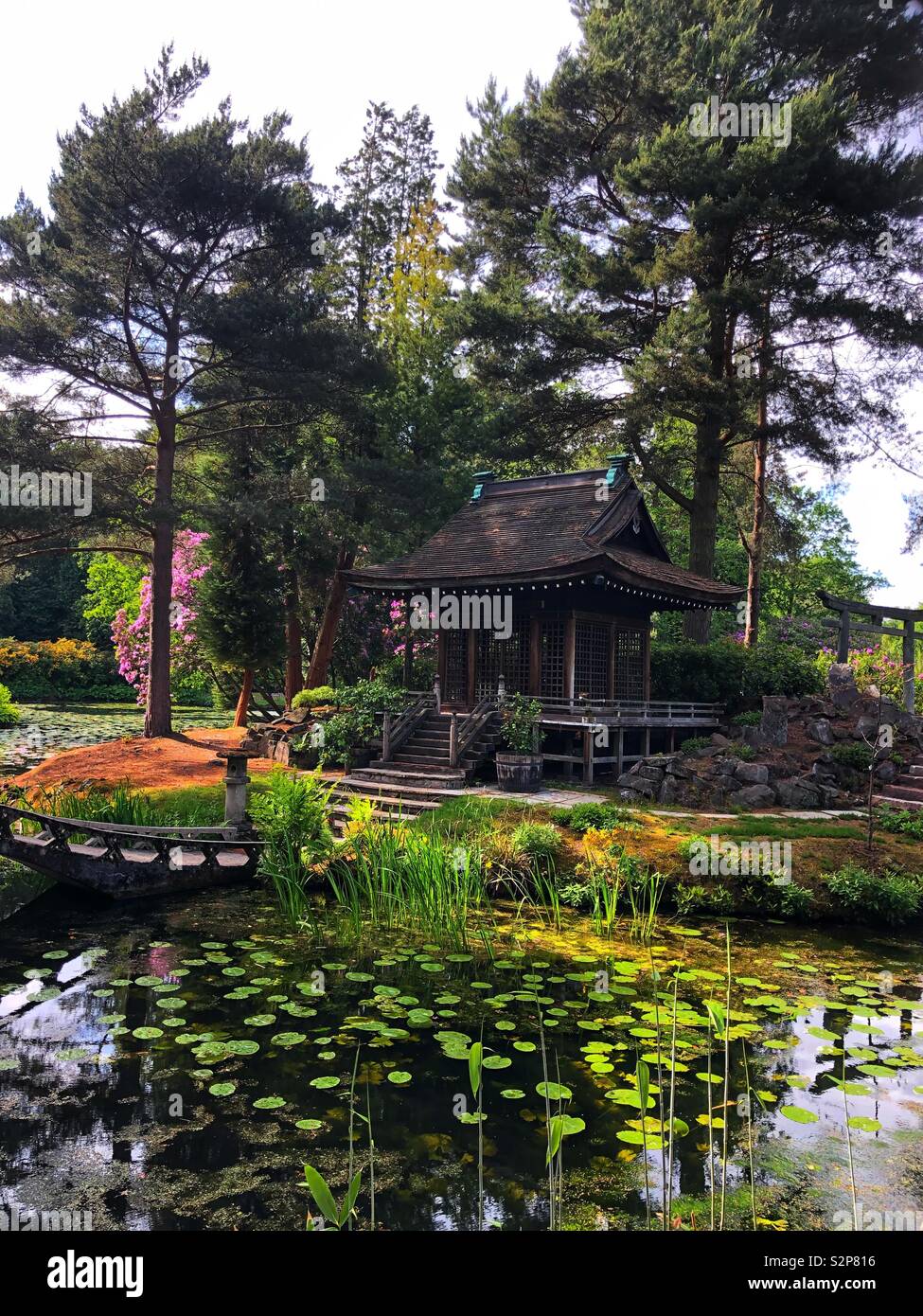 Tatton park japanese garden hi-res stock photography and images - Alamy