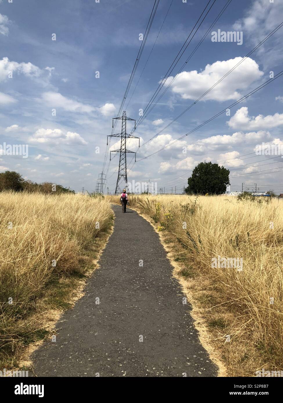 Walk electric pylon nature Rainham Marshes Stock Photo - Alamy