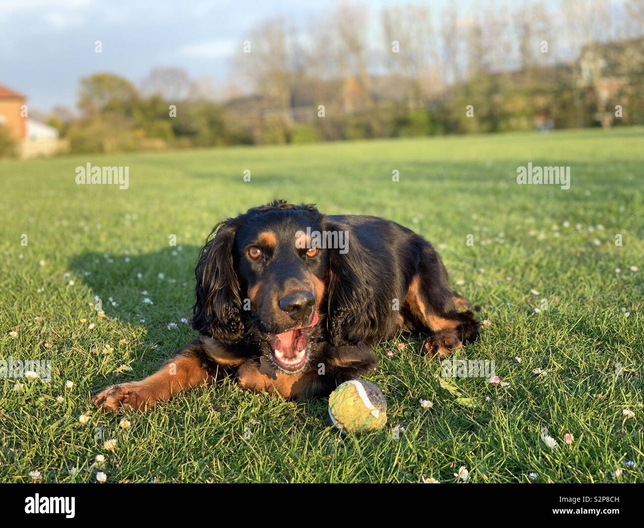 Time for a rest Stock Photo - Alamy